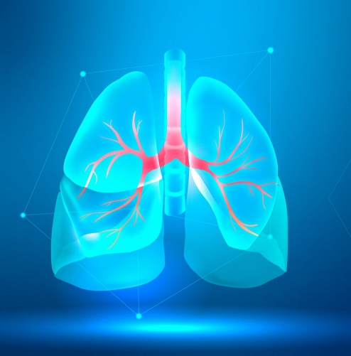 Dia Mundial do Pulmão: Cuide da Sua Saúde Respiratória – Revista Ekletica
